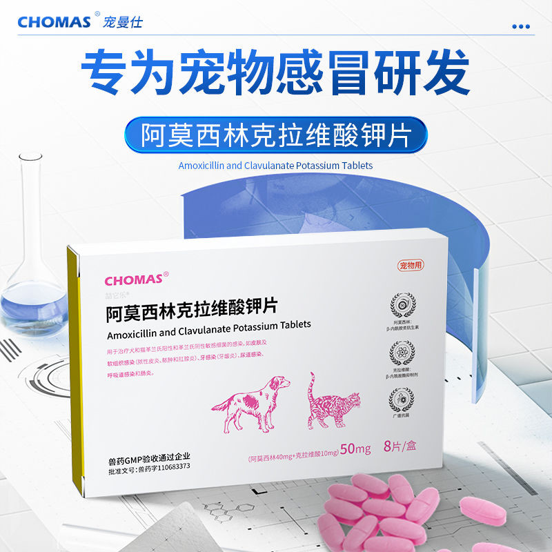 Pet Dog Cat Cold Medicine Anti-Inflammatory Tablets Amosilin Nasal ...