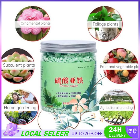Fertilizer For Plant 500g Ferrous Sulphate Nutrient soil for Gardenia ...