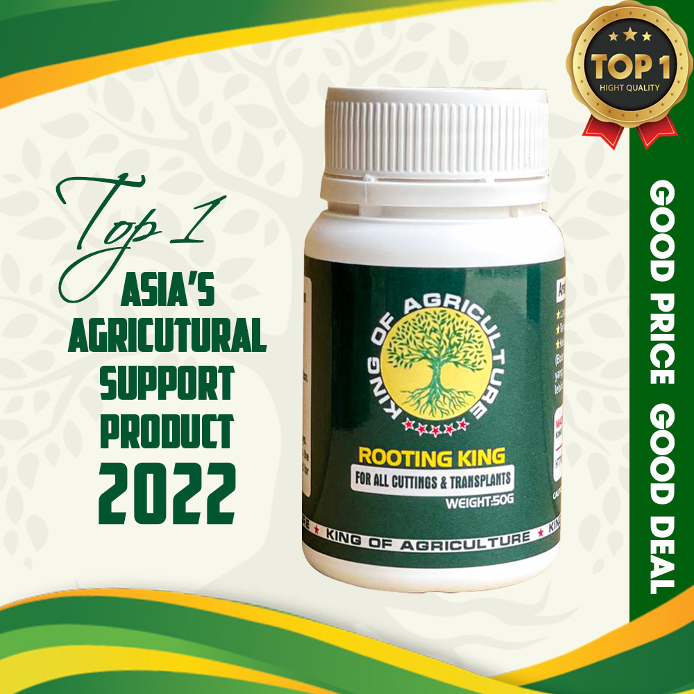 Rooting King Powder New generation fertilizer power for plants Genuine ...