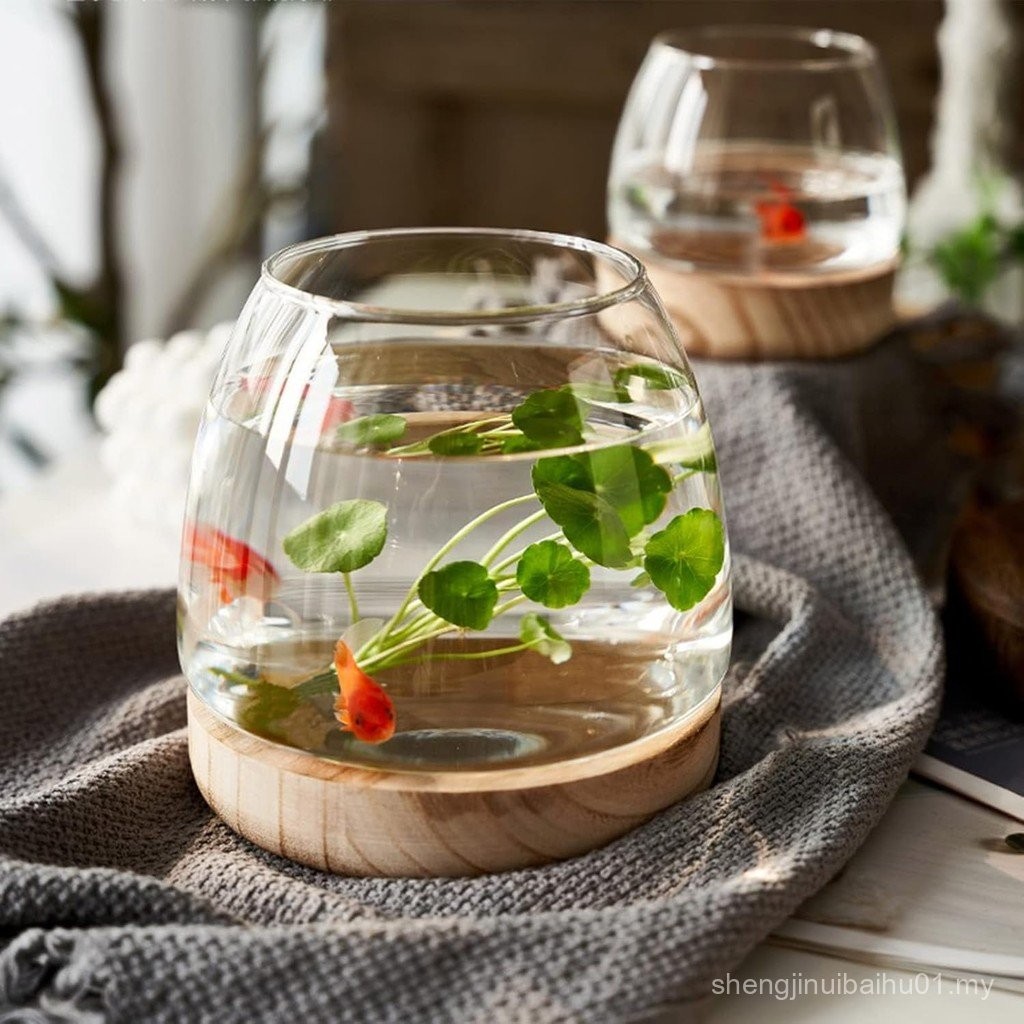 Terarium dengan Dasar Kayu Mangkuk Terarium Pasu Desktop Mangkuk Ikan ...
