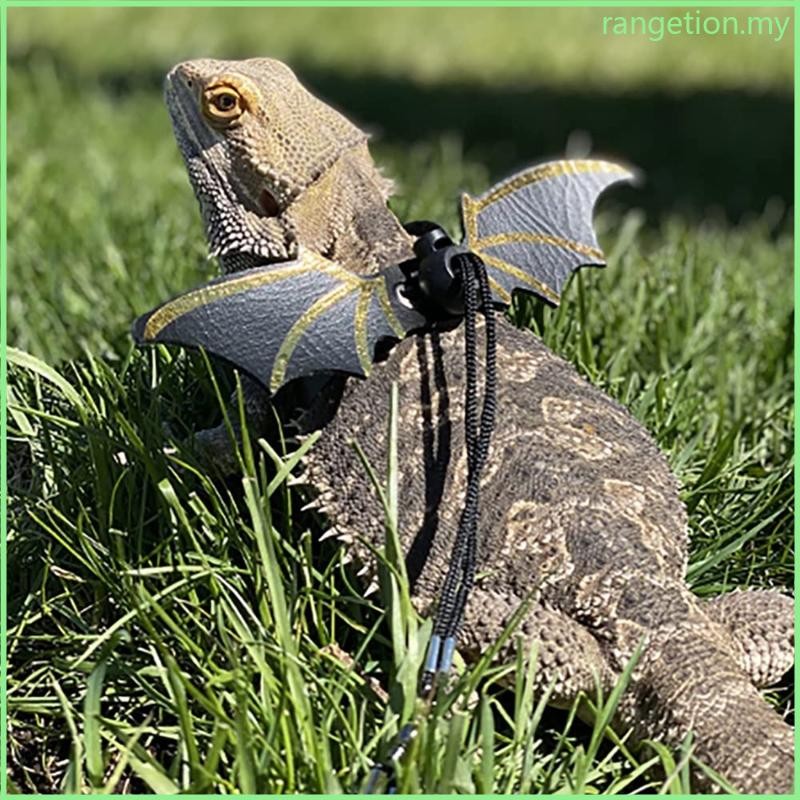 RAN Lizard Leash and Harness Set with Wing Training Leashes for Leopard ...