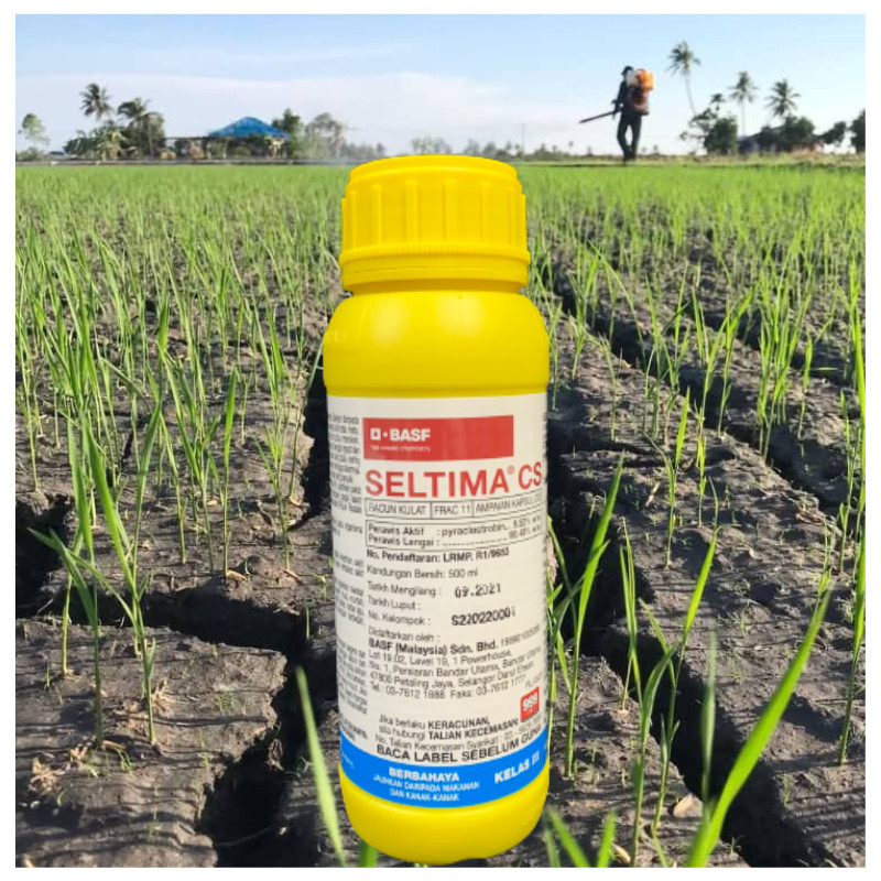 [ORIGINAL] 500ML SELTIMA CS BASF RACUN KULAT SESUAI UNTUK TANAMAN PADI ...