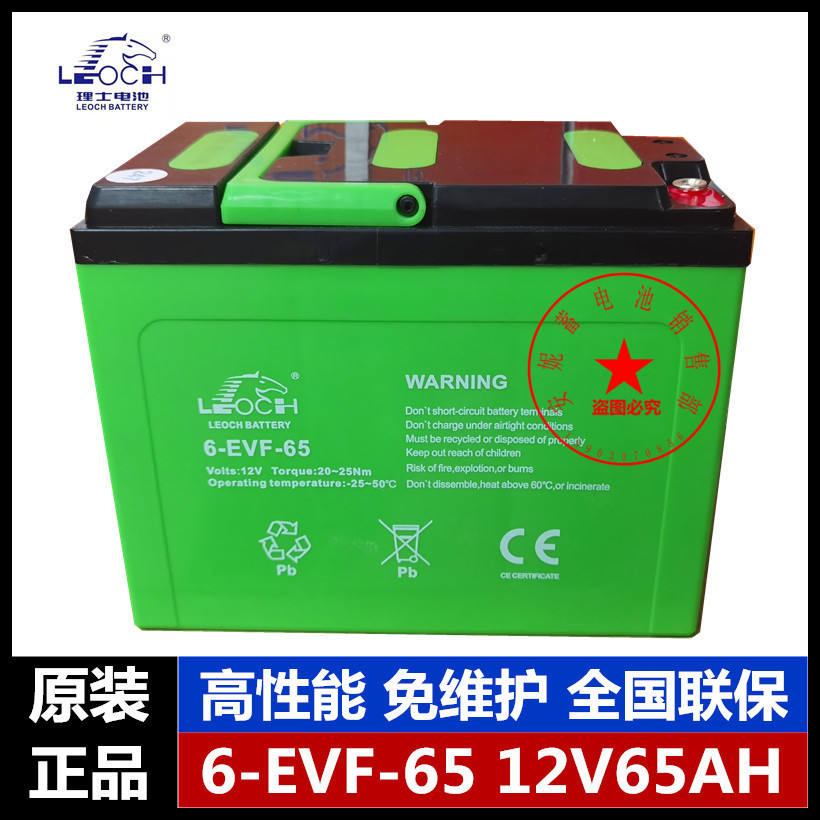 Rich EV Colloidal Battery Forklift Battery 6-EVF-65 6-EV-80 6-GFM-85 3 ...