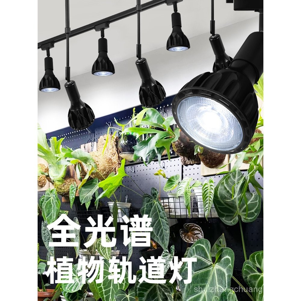 Full Spectrum Plant Fill Light LED Green Plant Wall Growth Light Indoor ...