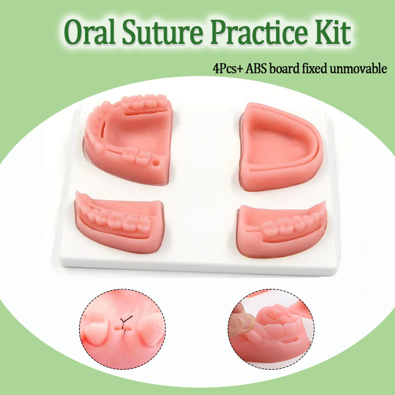 Silicone Artificial Skin Oral Common Types of Dental Wounds Suture ...
