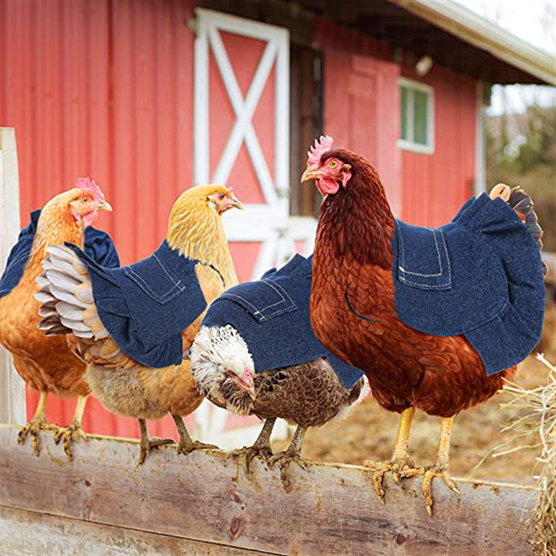 Denim Chicken Feather Holder Outdoor Garden Back Protector Chicken ...