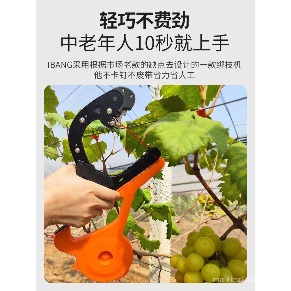 New Grape Branch Tying Machine Passion Fruit Tomato Virgin Fruit Tying ...
