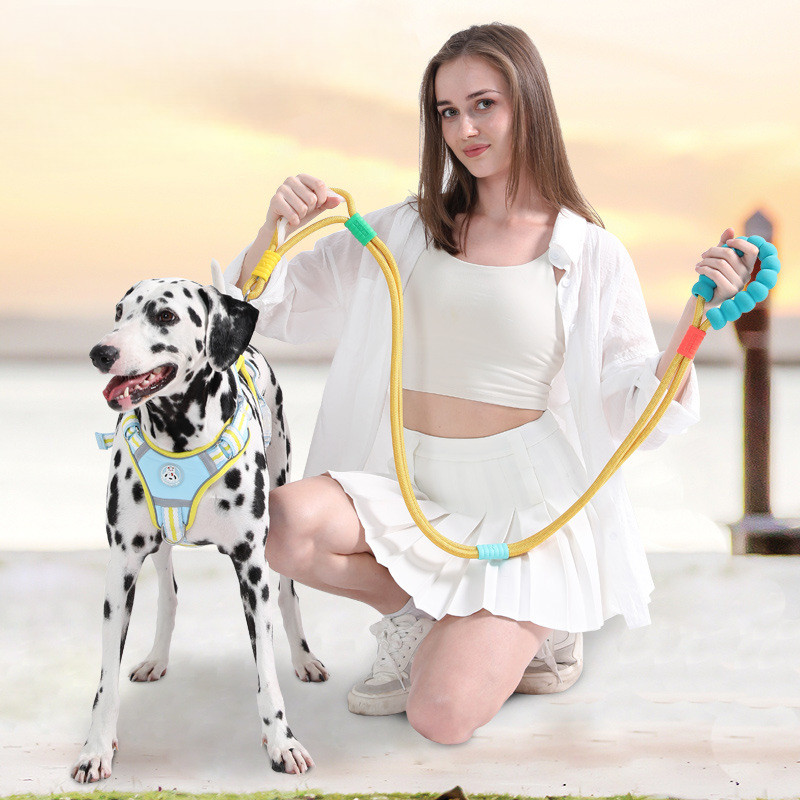 Pet Dog Leash in New Design:Multifunctional Traction Rope Free Hands ...