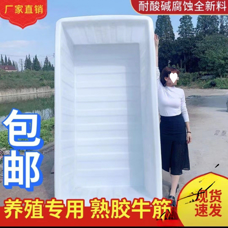 Tangki Air Plastik Lembu Tebal Akuakultur Segi Empat Akuakultur ...