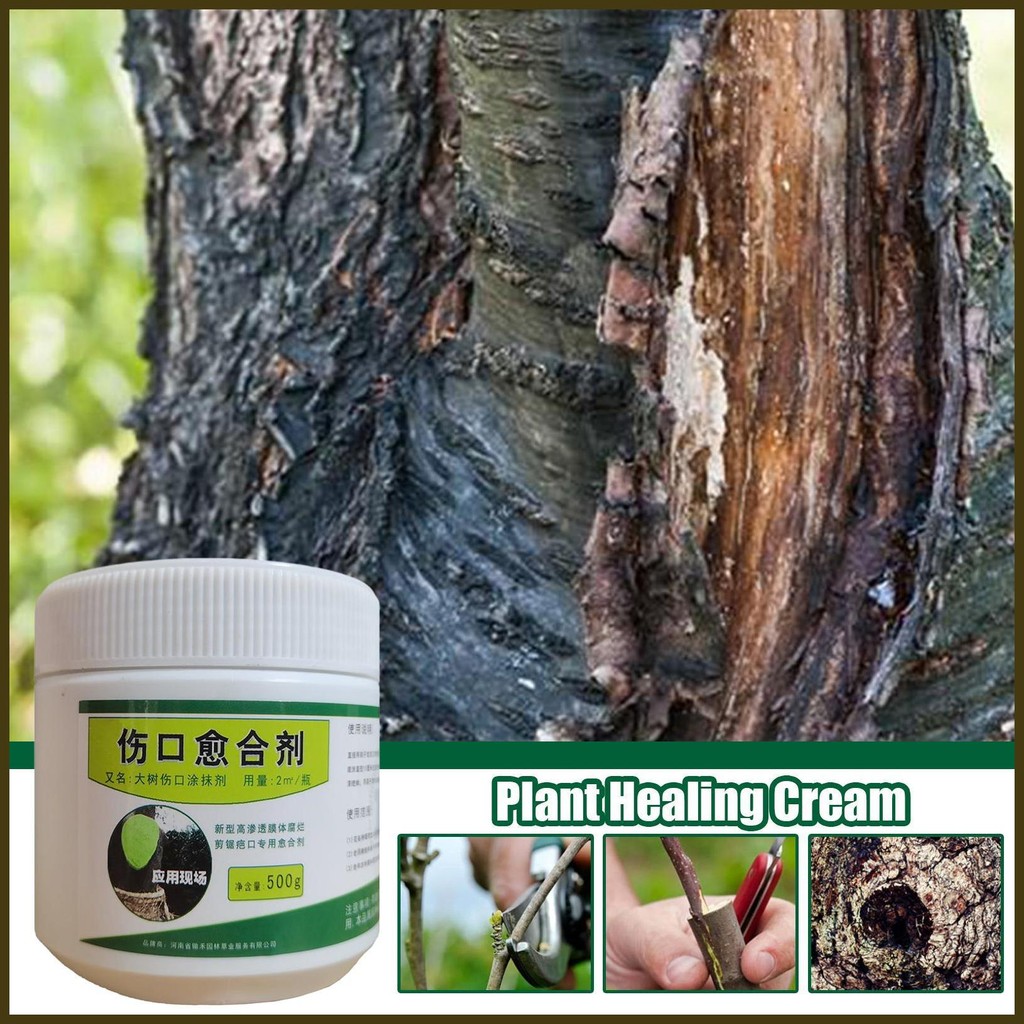 Tree Sealer after Cutting 500g Pruning Smear Paste Repair Cut Dressing ...