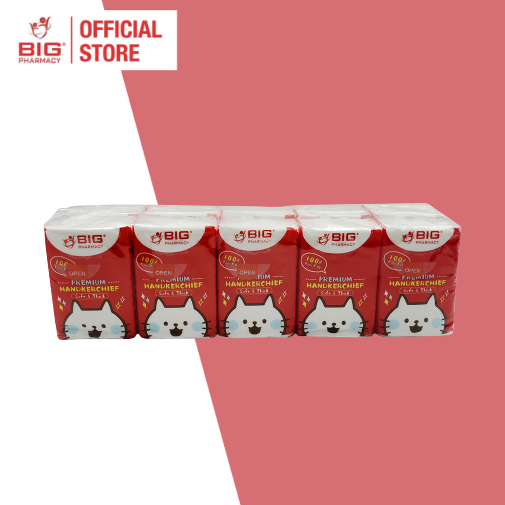 BIG PHARMACY MINI HANKIES 3PLY 8SX10 | Shopee Malaysia