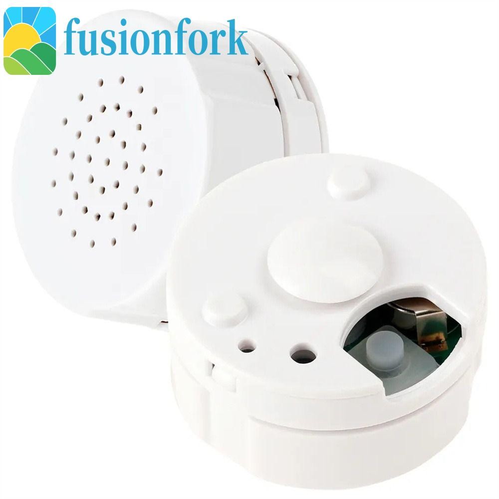 FUSIONFORK Voice Recorder Plush Toy, 30 Second Custom Message Recording ...