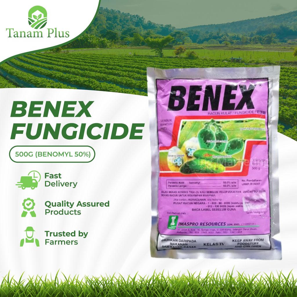 500GM Benex Imaspro Benomyl 50% Raun Kulat Fungicide Karah Bintik Daun ...