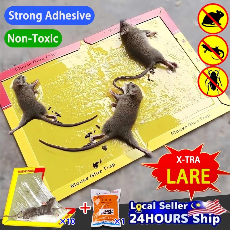 Super Glue Mouse Trap Rat Mice Catcher Board Pest Control Pad Pelekat ...