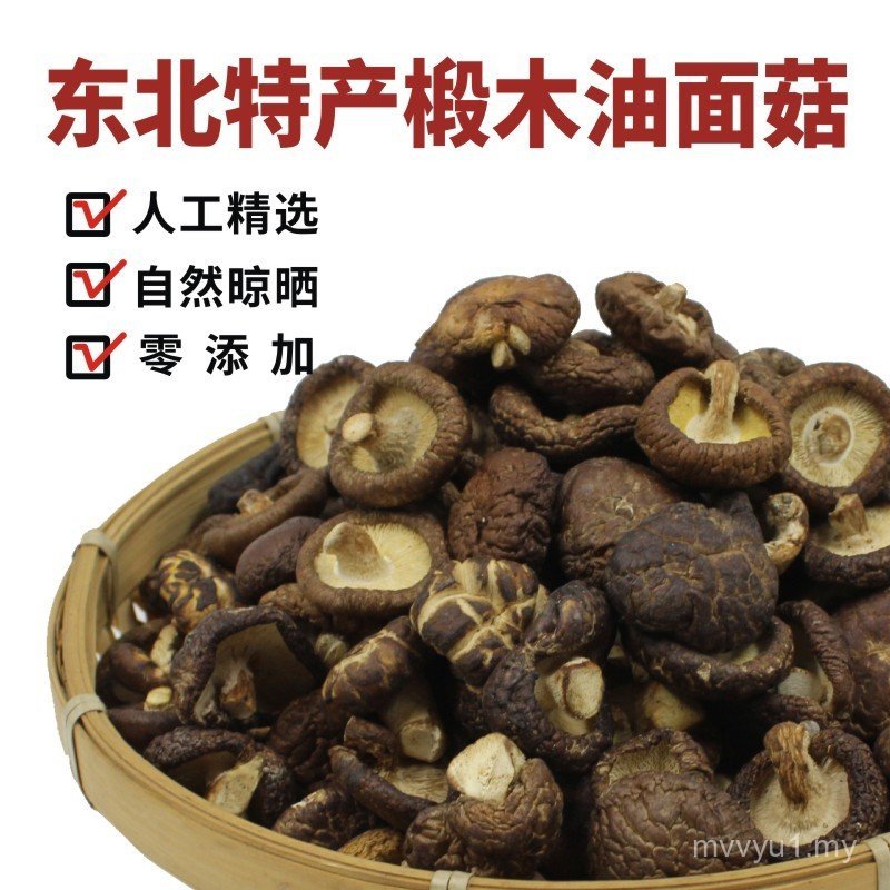 Cendawan Shiitake Timur Laut, Lentinus Edodes, Cendawan Muka Hitam ...