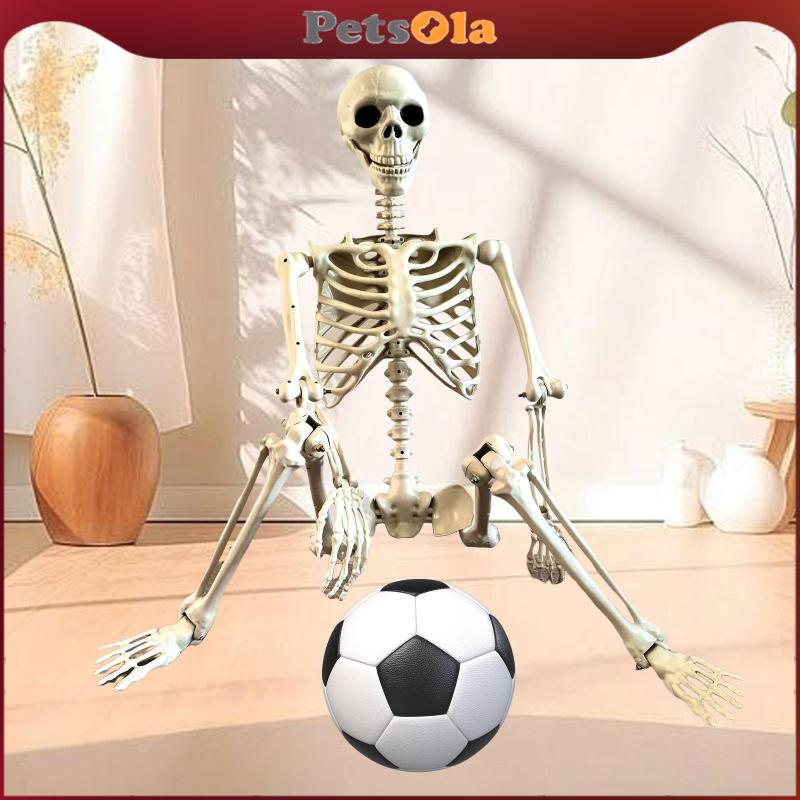 PETSOLA Halloween Posable Skeleton Realistic Human Skeleton Prop for ...
