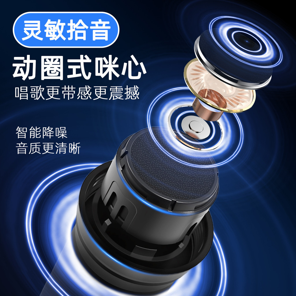 Reverberation High Bass Home Universal Wireless Microphone Charging ...