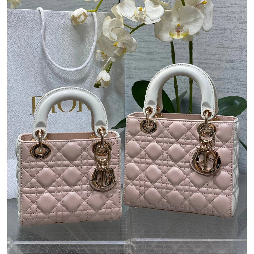 Dior Goddess Must-Have New Classic Lady Color Matching Dior Enamel ...