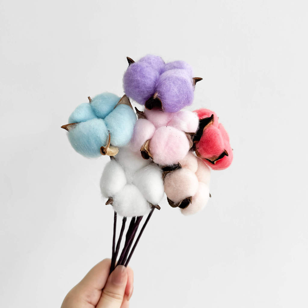 SHIOK Bunch Natural Dried Cotton Flowers | Sekuntum Bunga Kapas Kering ...