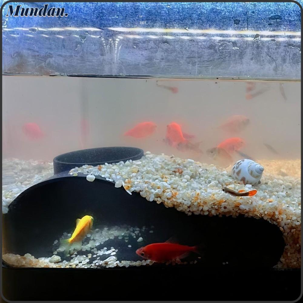 MUNDAN Aquarium Underground Tunnel Cave, Curve Under Gravel Tunnel ...