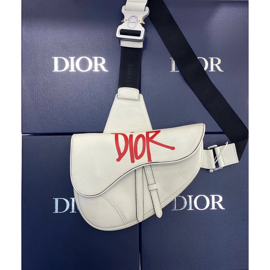 DIOR DIOR Saddle Bag Chest Bag Messenger Bag Backpack Briefcase ...