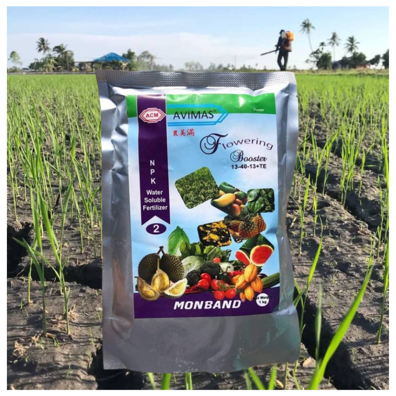 [ORIGINAL] 1KG AVIMAS 2 ACM Baja Foliar Padi / Vitamin Padi / Baja ...