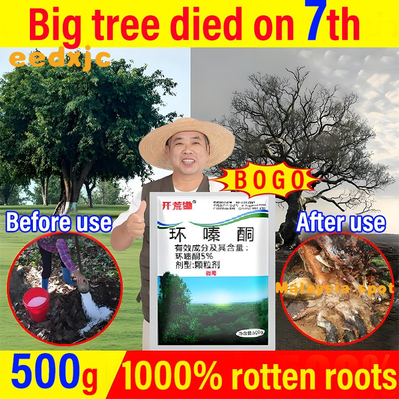 Rotting roots 5 meters deep overnight Racun pokok kayu besar 500g ...