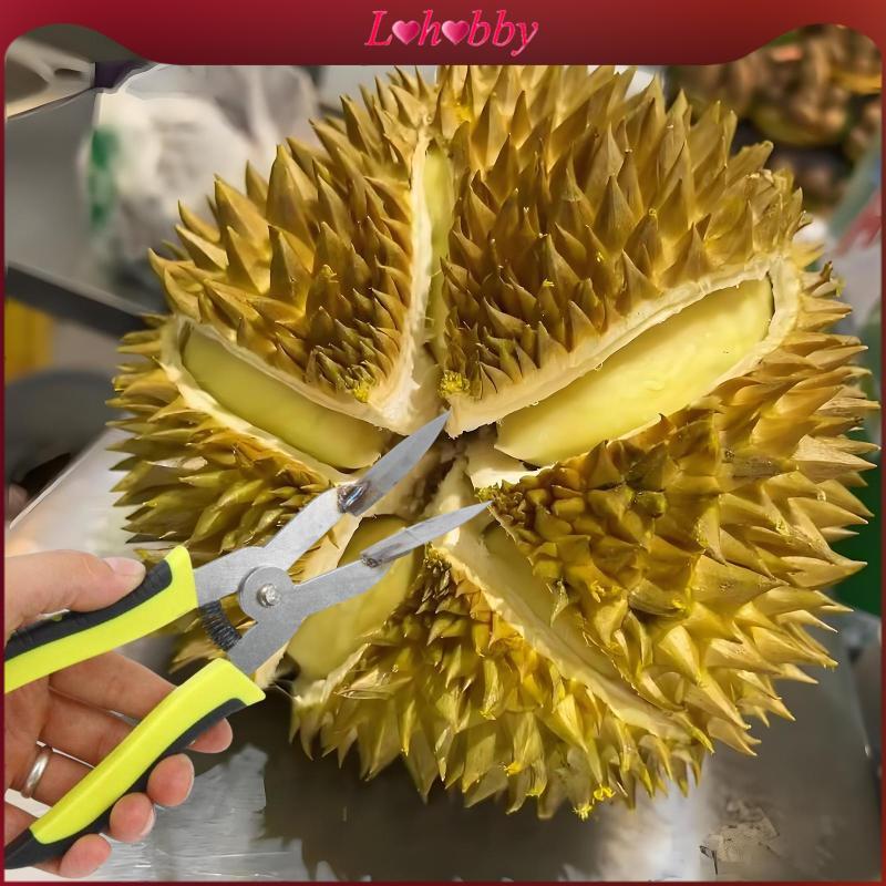 [Lohobby] Durian Opener Fruit Durian Shell Opener Clip Pliers Easy to ...
