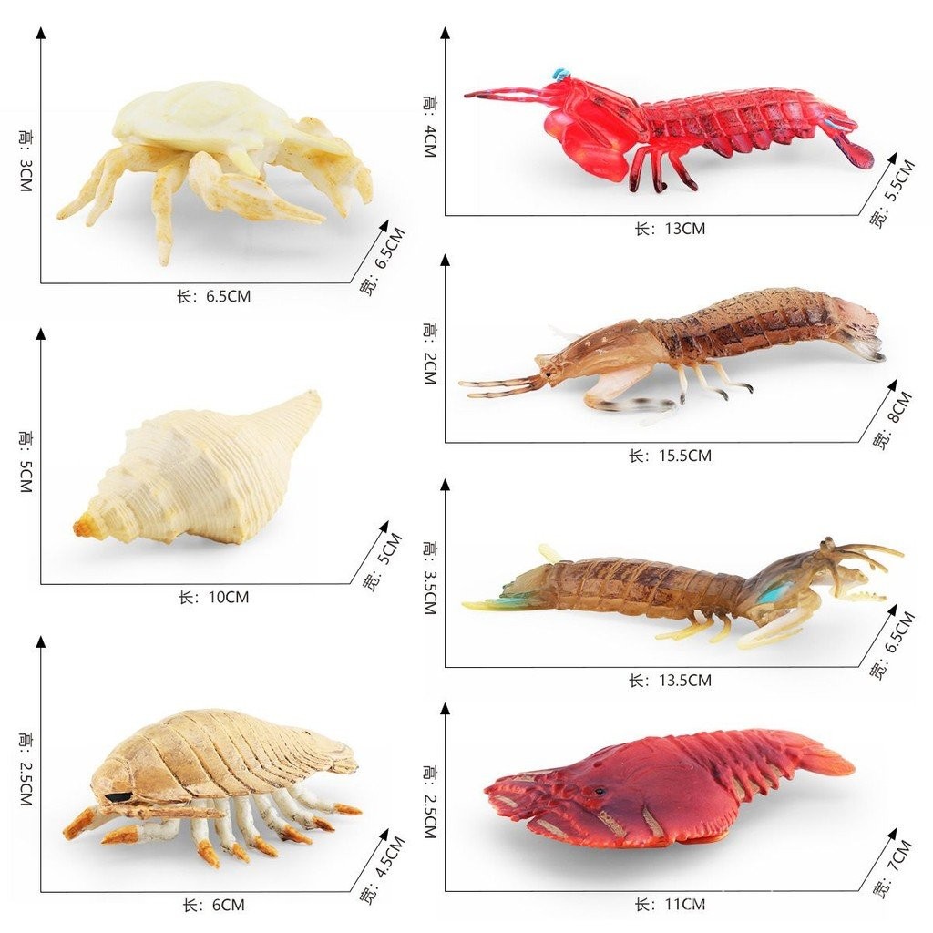 Simulation Marine Life Model Pipi Shopee Shopee Snowman Crab King with ...