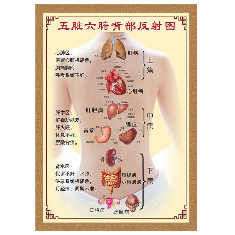 T Traditional Chinese Medicine Health Center Promotional Painting Five ...