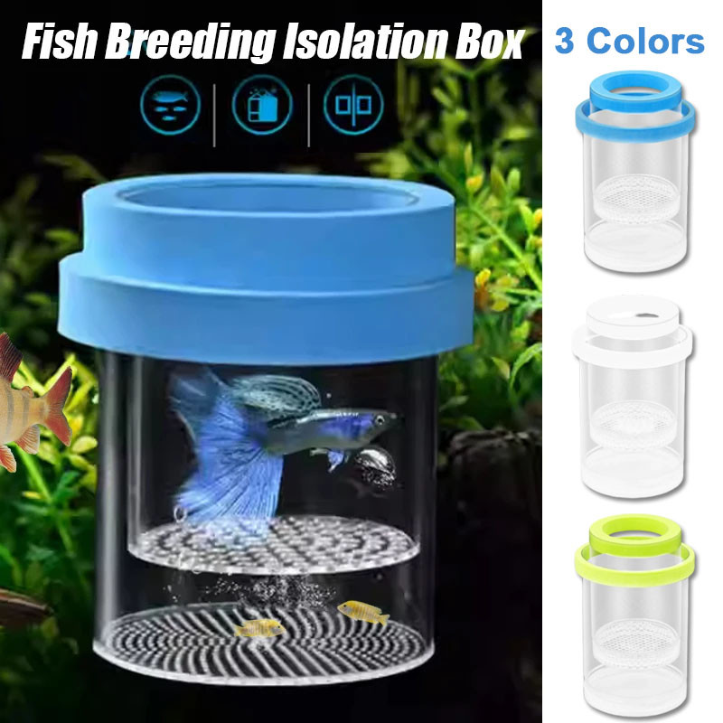 Floating Fish Tank Hatching Box Aquarium Guppy Small Fish Eggs Breeding ...