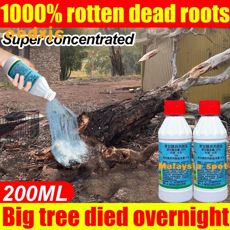【1 drop of rotten roots】Racun pokok besar Formula pekat Racun pokok ...