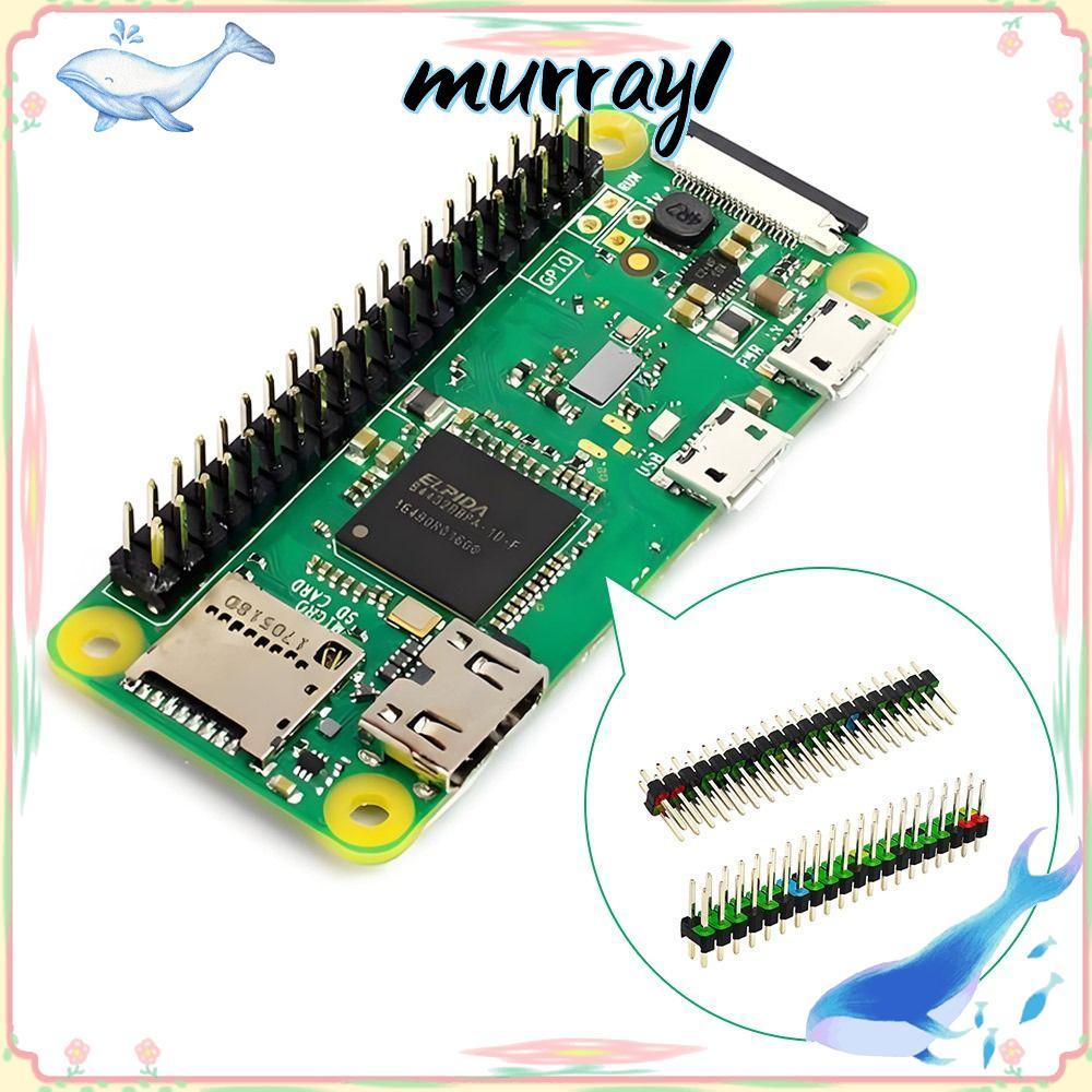 MURRAY 40 Pin GPIO Header, Breakable 2.54mm Spacing Development Board ...