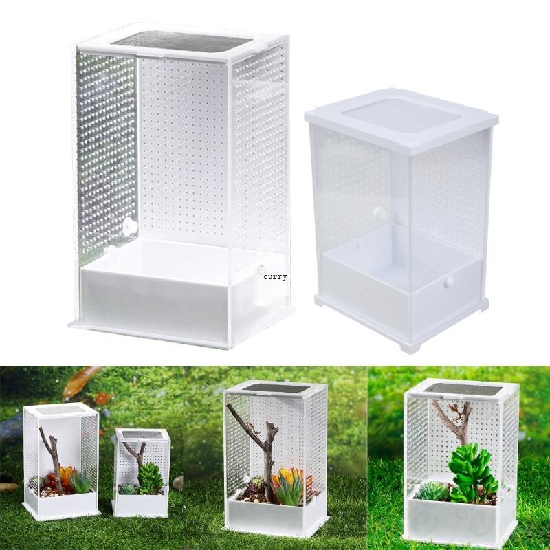 CUY Acrylic Mini Reptile Breeding Box Mantis- Habitat ...
