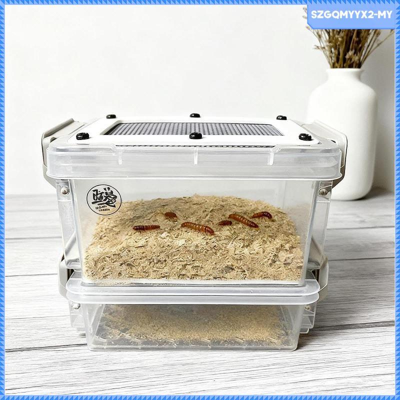 [SzgqmyyxcbMY] Roach Feeding Box Keeper Easy to Clean Ventilation ...