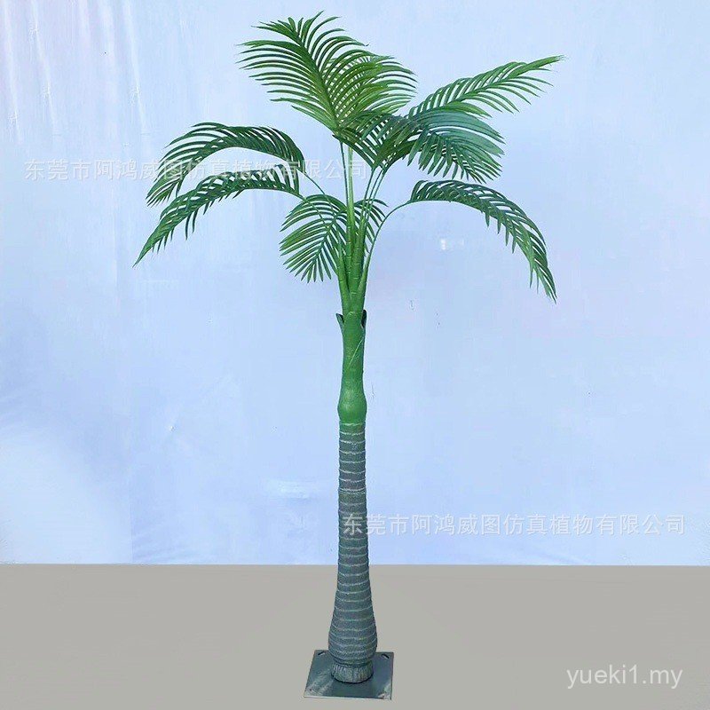 Bonsai Pokok Betel Tiruan Pokok Kelapa Tanaman Pasu Dalaman dan Luaran ...