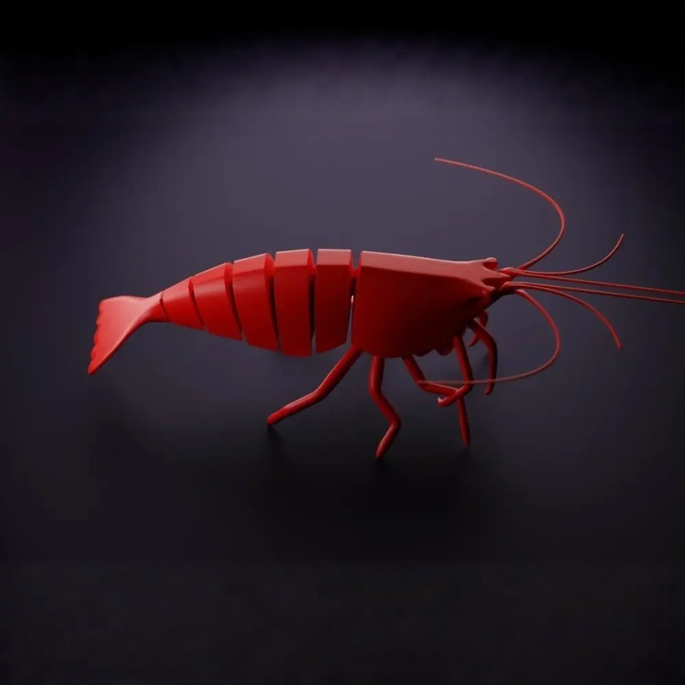 [Meow.Sensei] Seafood Model Movable Joint Shrimpware Toy | Shopee Malaysia