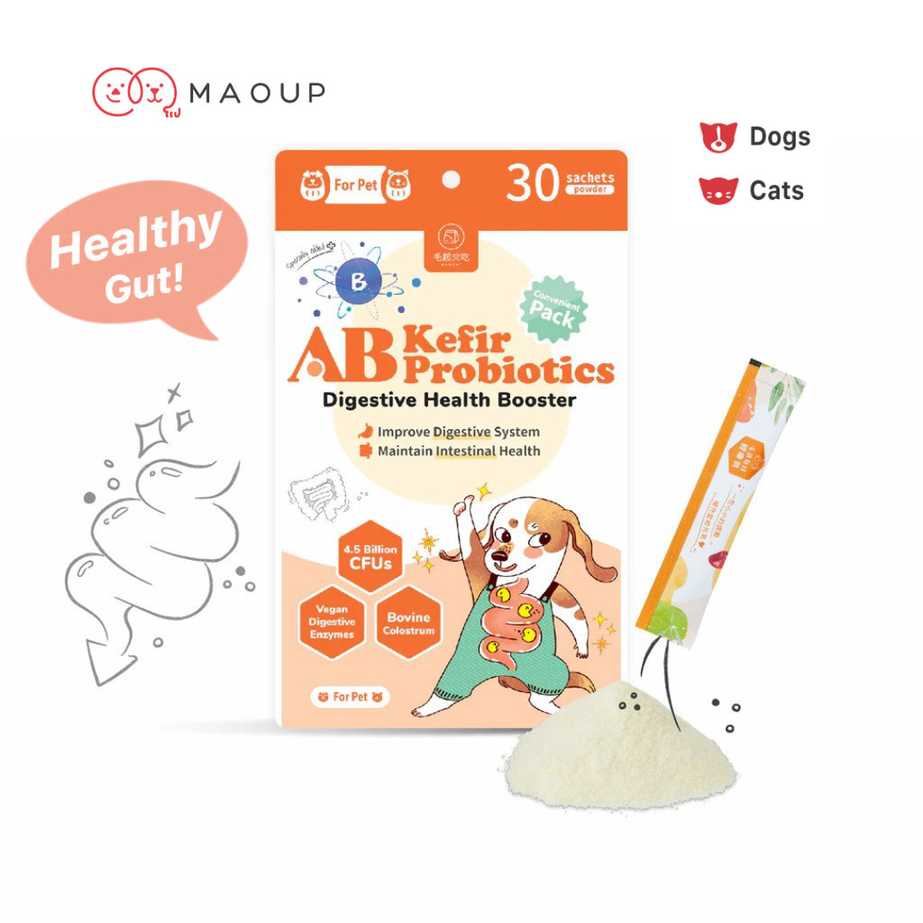 Maoup AB Kefir Probiotics Digestive Health Booster (30 sachets) for ...