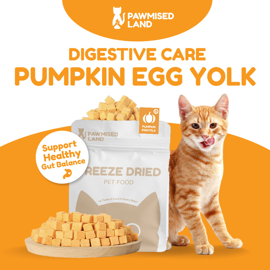 PawmisedLand Catty Munchies - Pumpkin Eggyolk - Functional Series ...