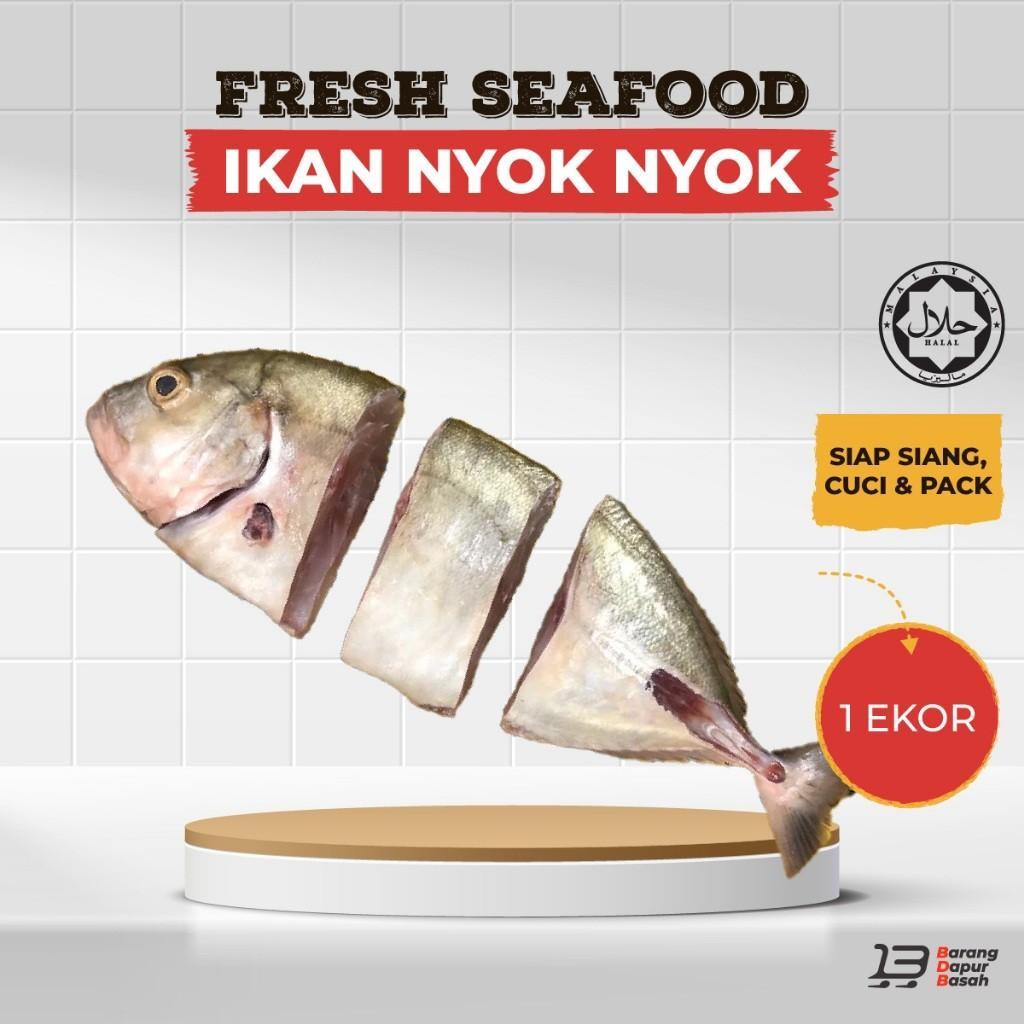 IKAN NYOK NYOK 1 EKOR | Shopee Malaysia