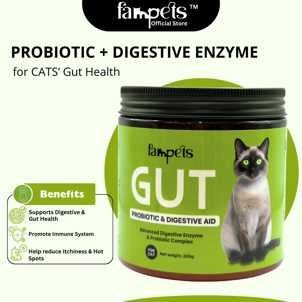 Fampets Cat Gut Health - Pre+Probiotic with Digestive Enzyme Powder ...
