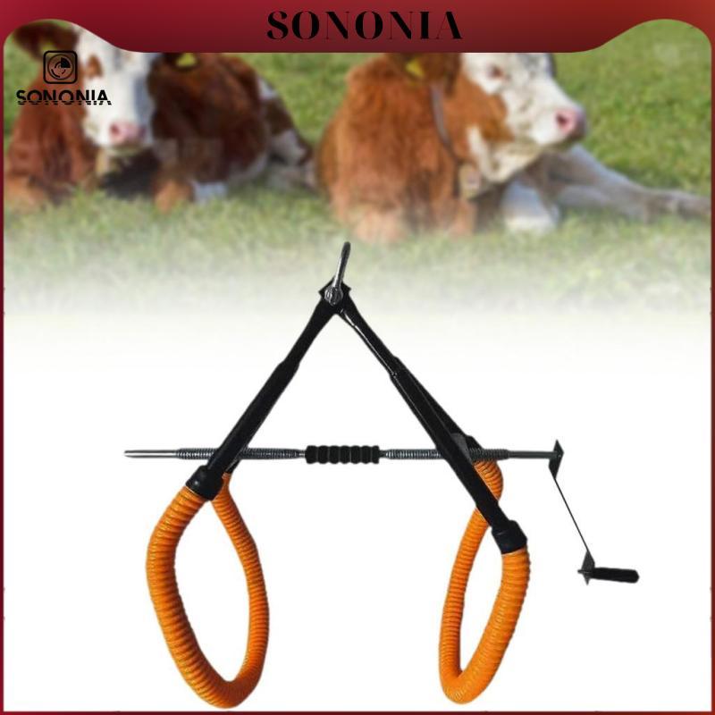 [SONONIA] Cow Hip Lift Steel Stand Up Assist Tool for Dairy Farm Cattle ...