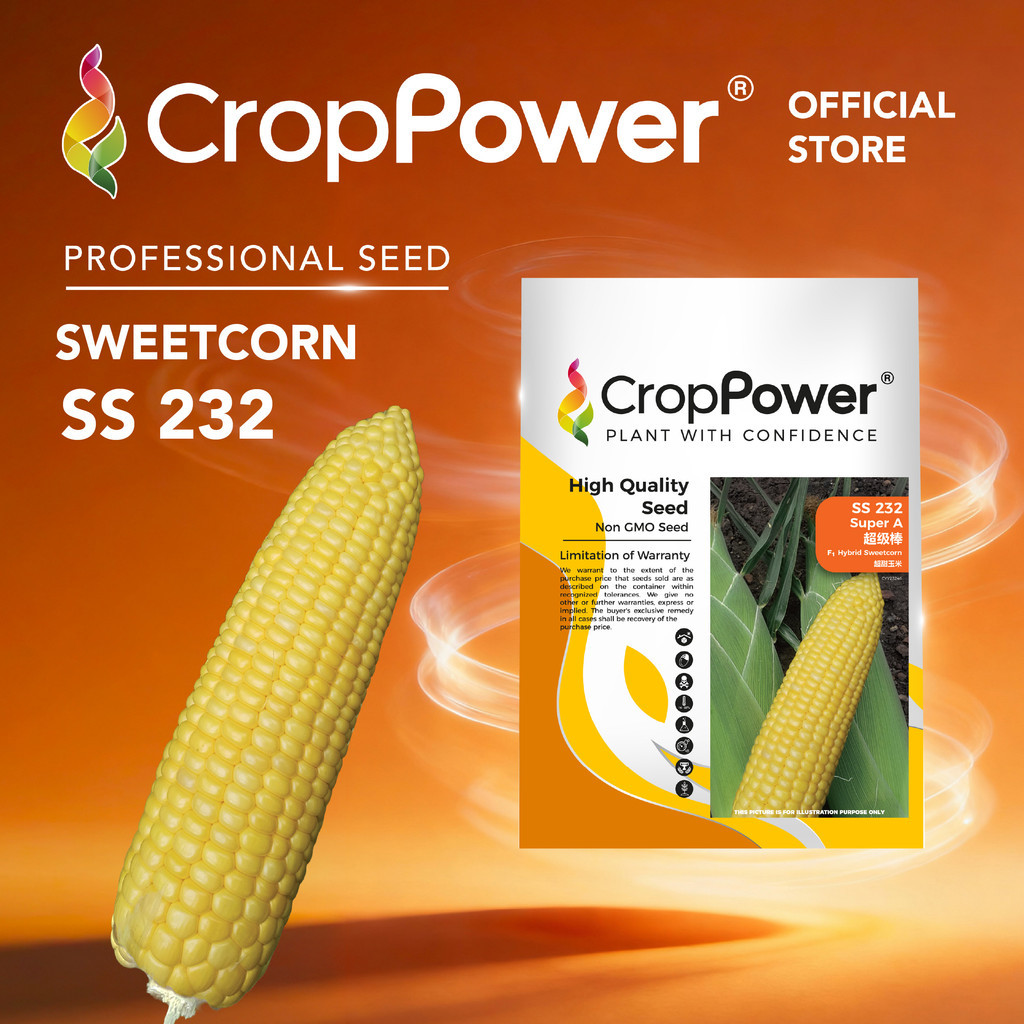 (100 GRAM) Biji Benih Jagung Manis Super A 超级棒 SS232 CROP POWER F1 ...