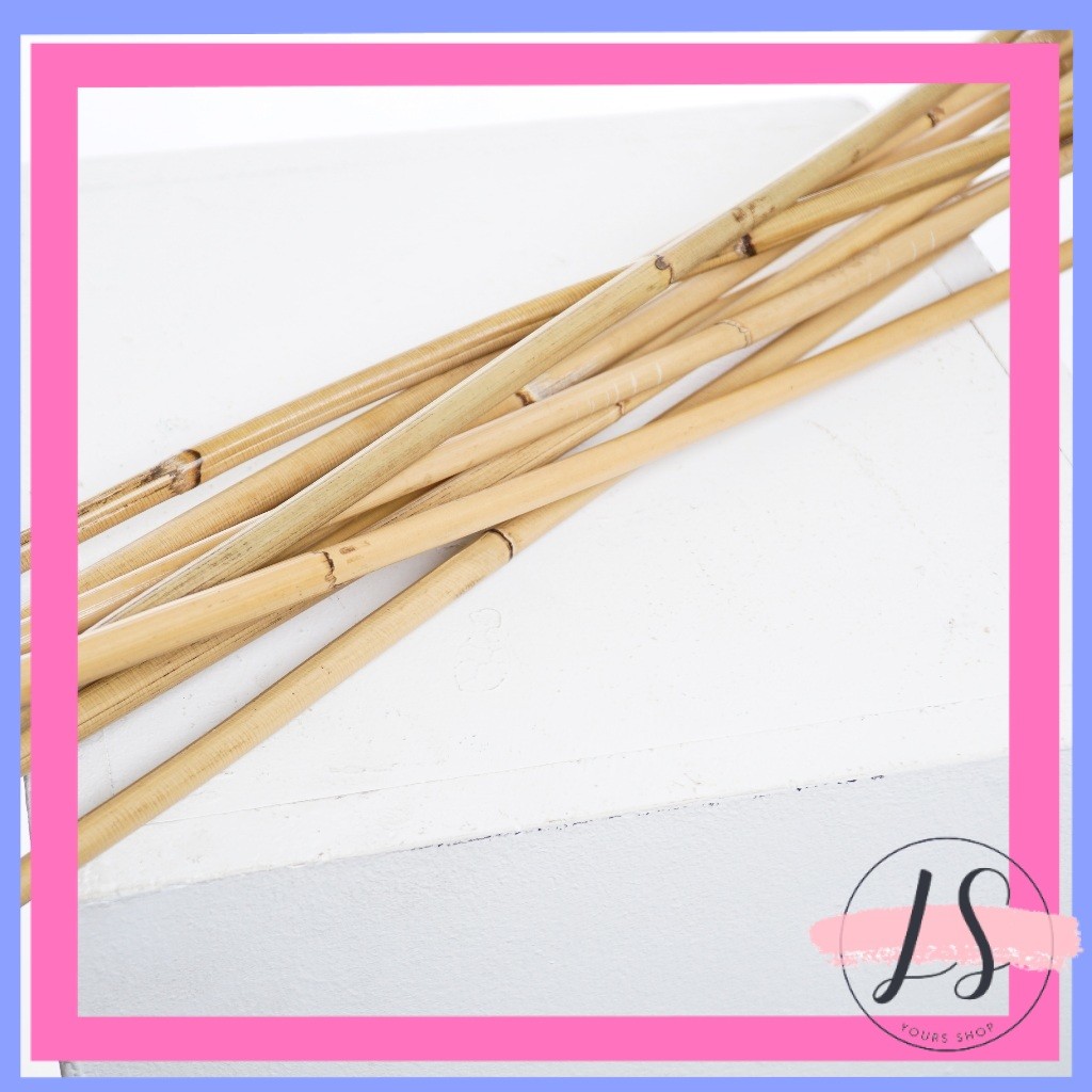 2pcs Rotan Buluh Asli Rotan Disiplin Kanak-Kanak/ Discipline Cane/ 藤条 ...