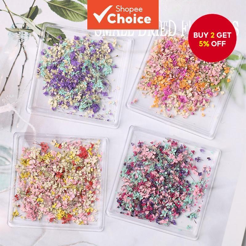 Ya Yalayee [Manicure Accessories] Japanese Style Mixed Small Dried ...