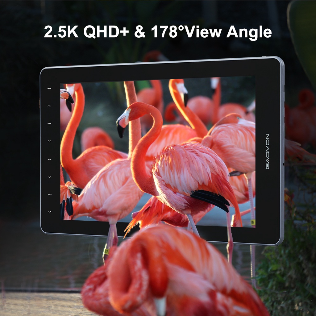 GAOMON PD1610 2.5K QHD Drawing Tablet Monitor Gamut 120% sRGB & 1.07B ...