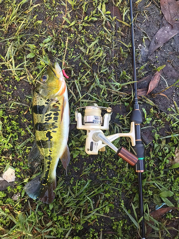 KFT Artemis Ultra Light Ultralight Fishing Rod Pancing Joran Udang Rod ...