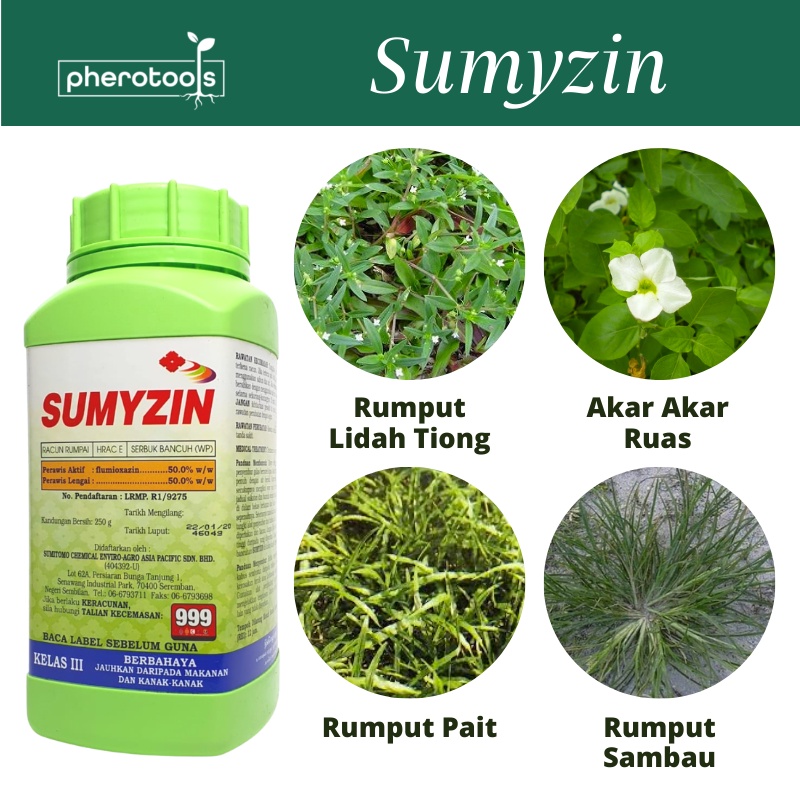 Pherotools Sumyzin Flumioxazin 50% (250g) Herbicide Rumput sambau ...