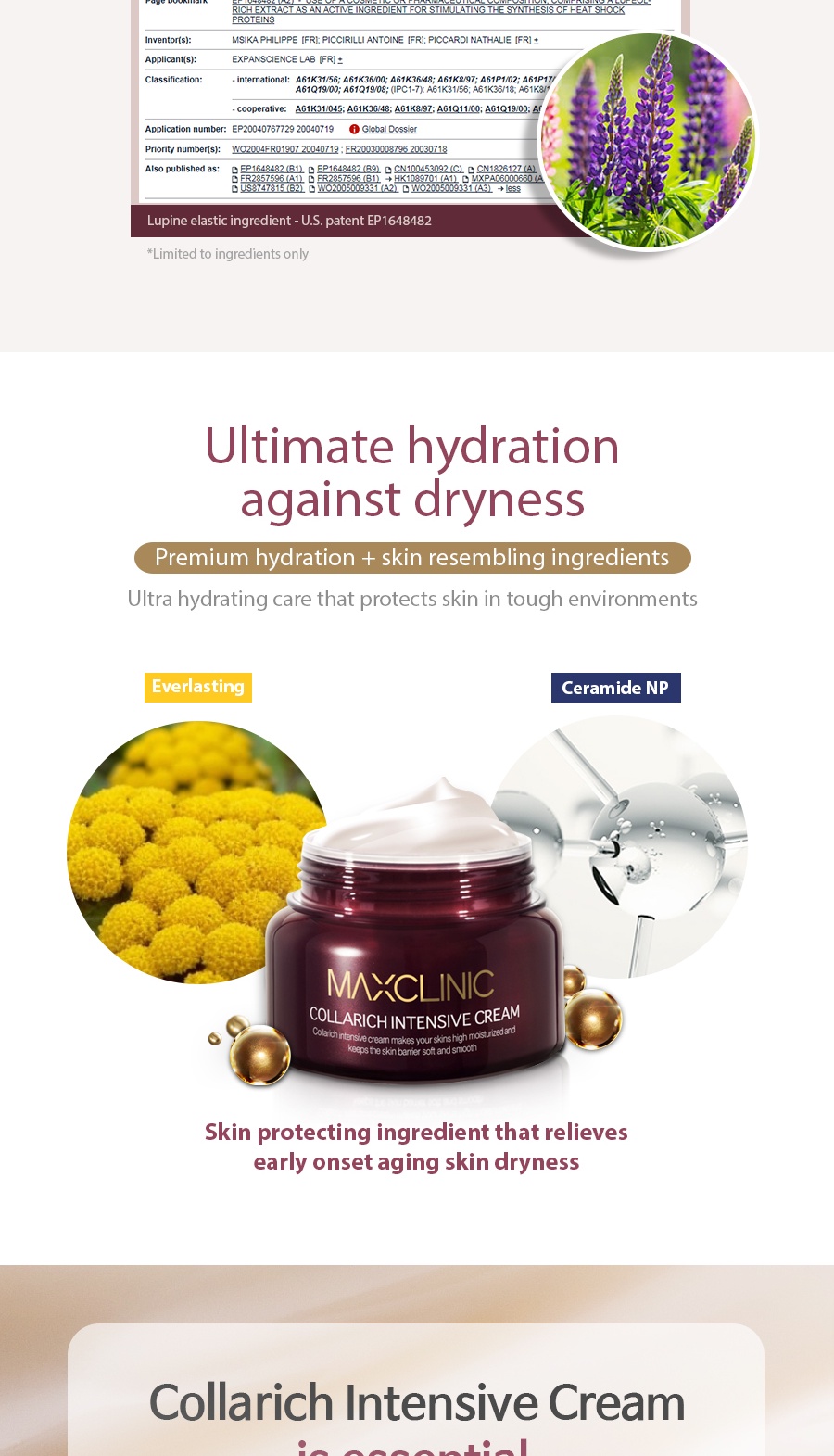 [MAXCLINIC Collagen Line] Collagen Intensive Ampoule (100ml ...