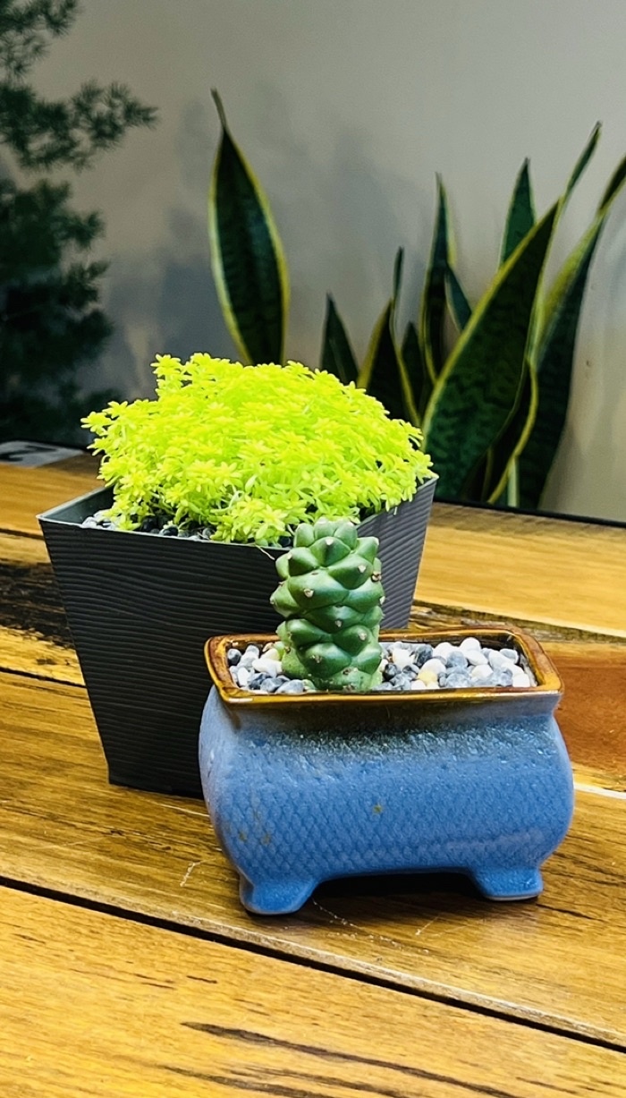 Onsmo LumiSphere LS-1 Pan Light LED Dual Colour System 3200k to 5600k ...